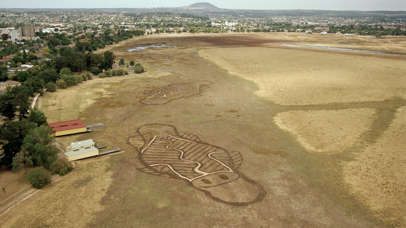 Michael Shiell – Artist