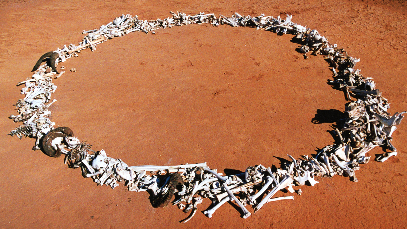 Michael Shiell – Artist